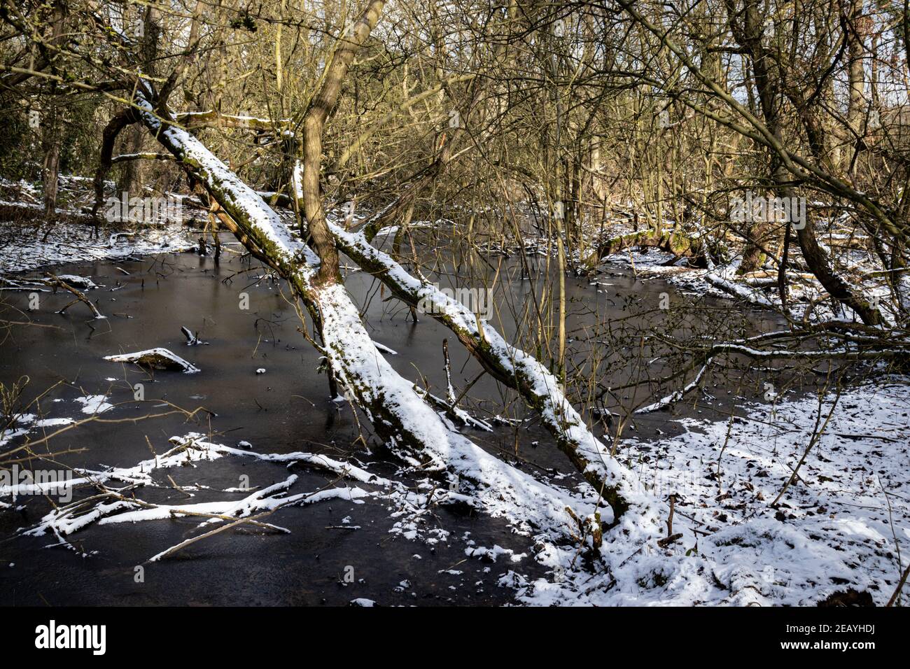 Conkers and Moira Furnace Museum and Ashby Canal in Winter plus ...