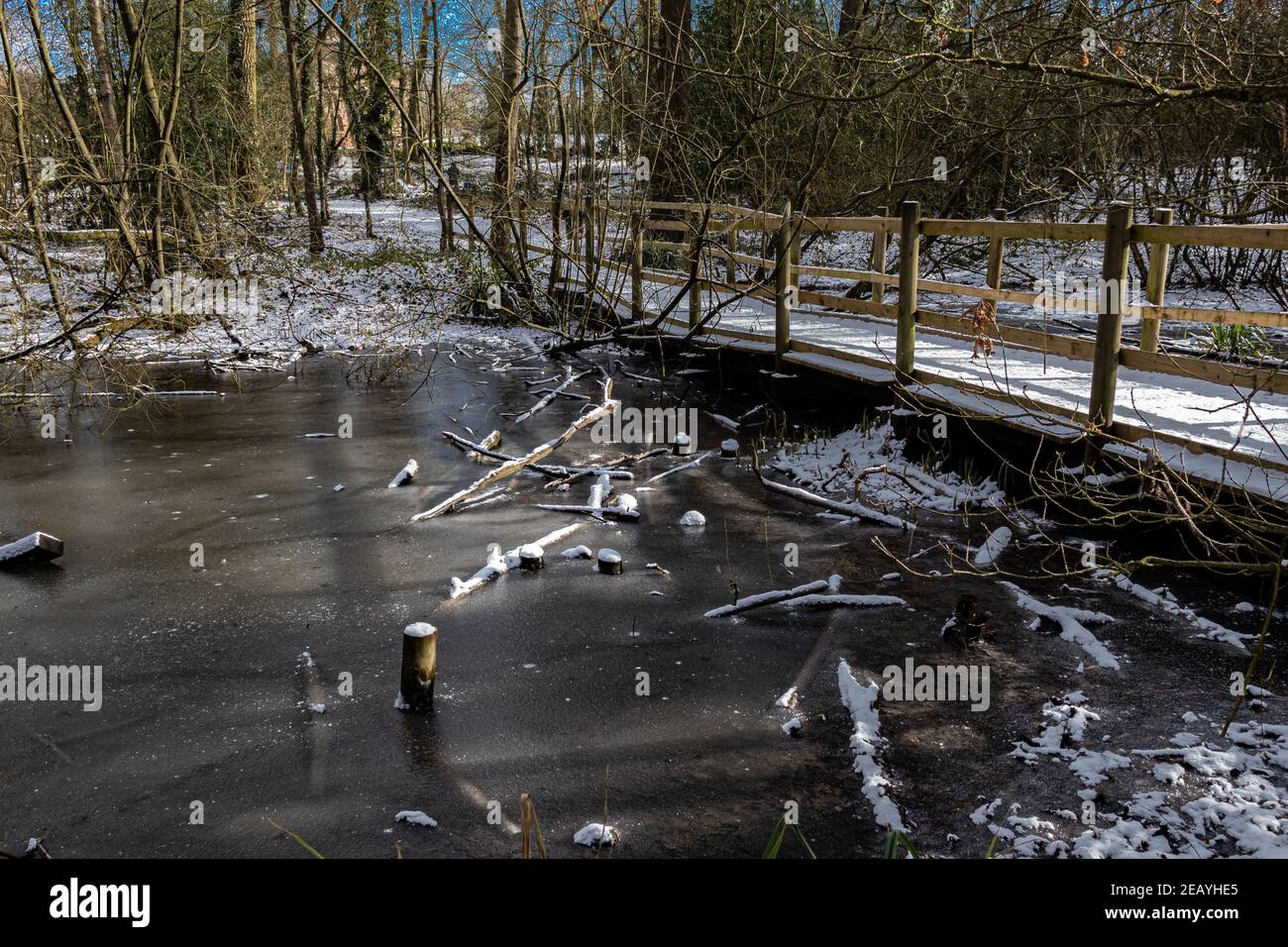 Conkers and Moira Furnace Museum and Ashby Canal in Winter plus ...