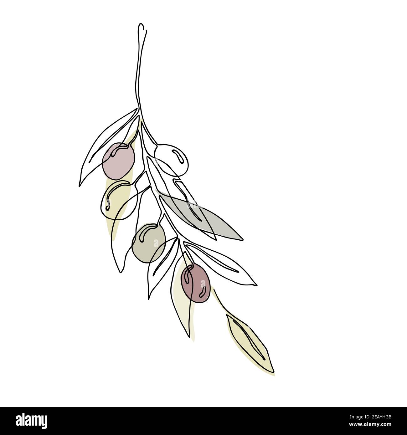 Single continuous line drawing of organic olive fruit brunch. Modern ...