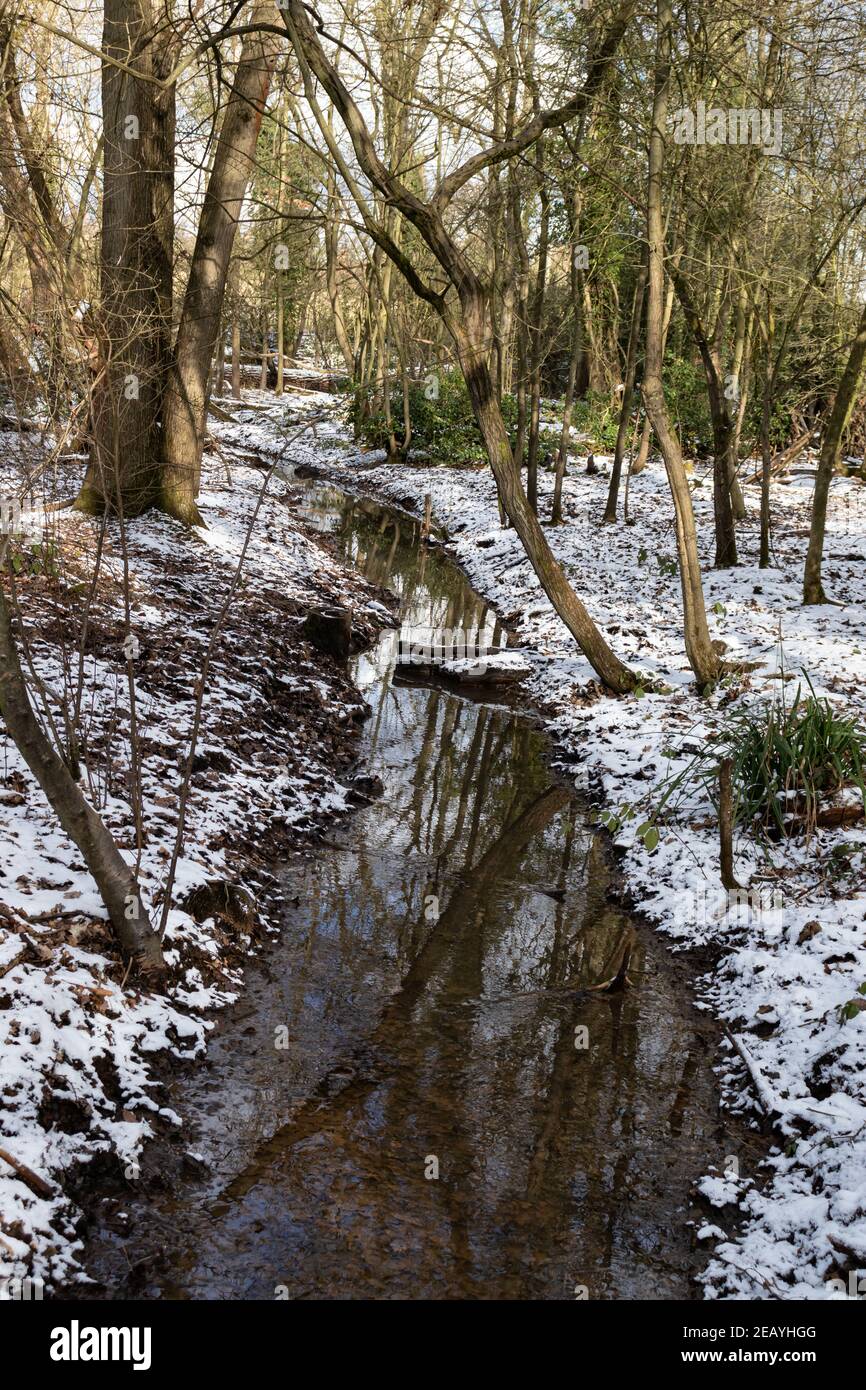 Conkers and Moira Furnace Museum and Ashby Canal in Winter plus ...