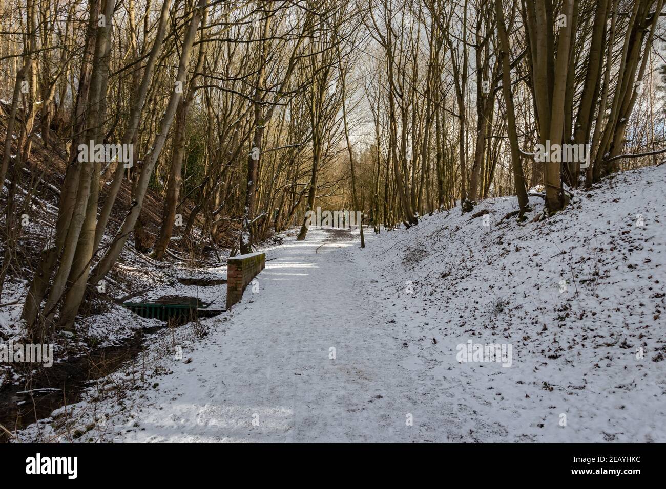 Conkers and Moira Furnace Museum and Ashby Canal in Winter plus ...