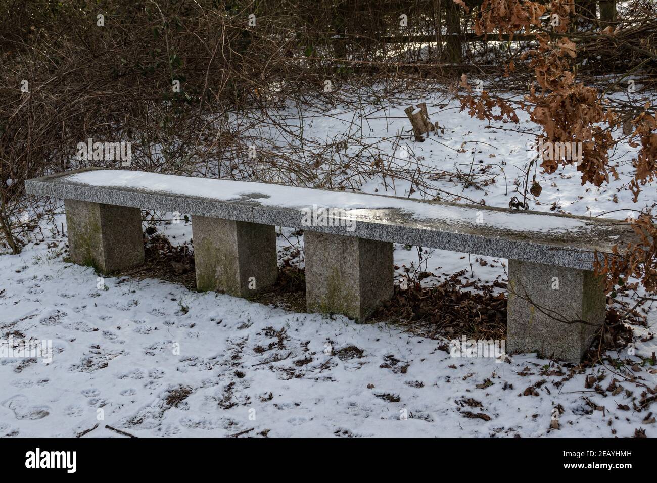 Conkers and Moira Furnace Museum and Ashby Canal in Winter plus ...