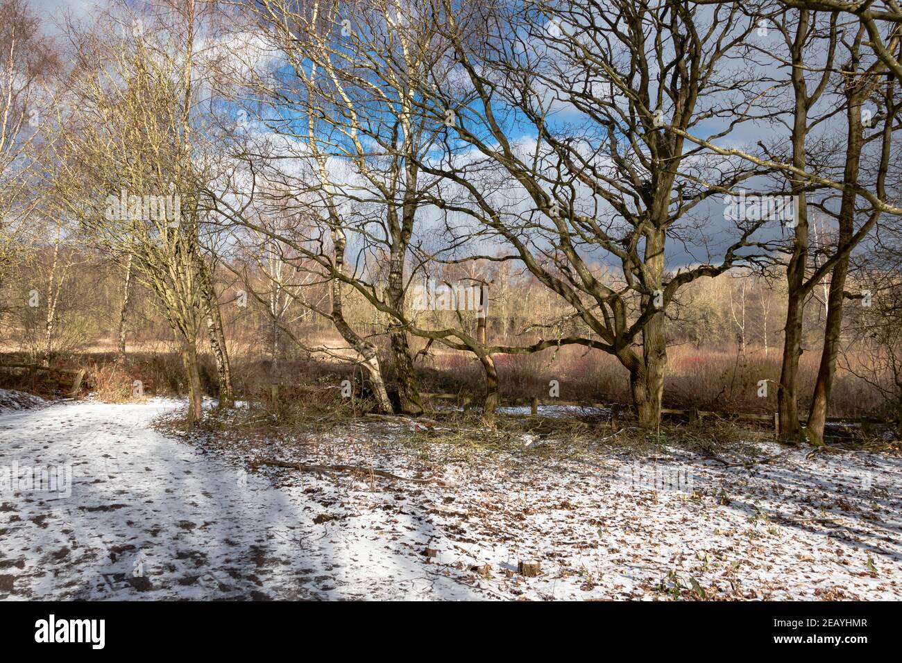Conkers and Moira Furnace Museum and Ashby Canal in Winter plus ...