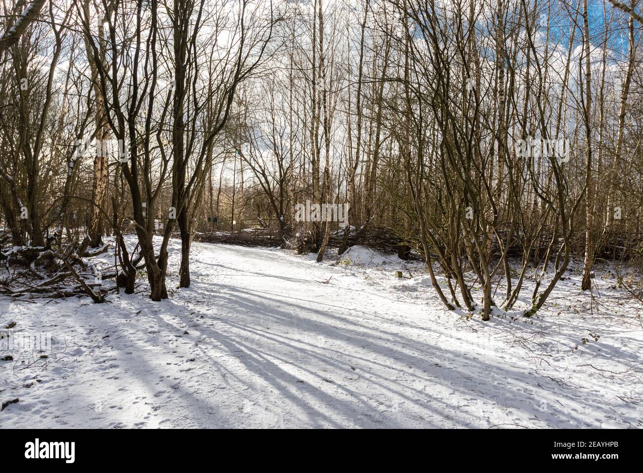 Conkers and Moira Furnace Museum and Ashby Canal in Winter plus ...