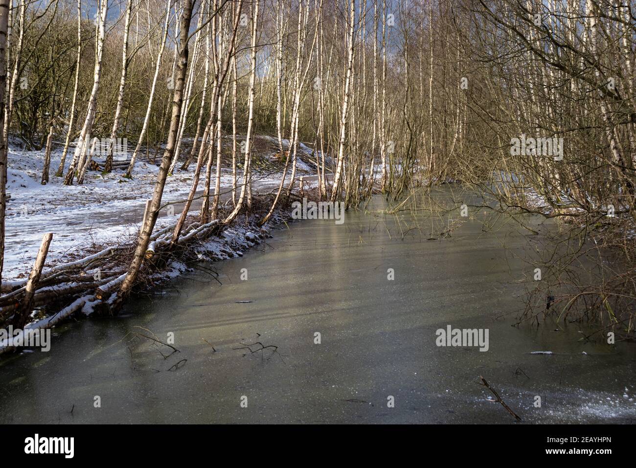 Conkers and Moira Furnace Museum and Ashby Canal in Winter plus ...