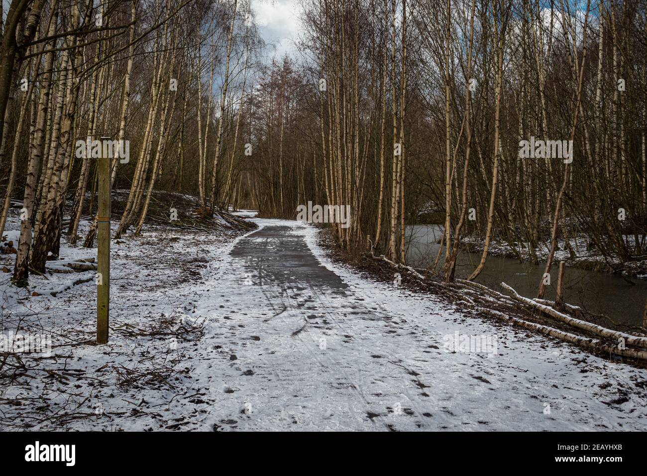 Conkers and Moira Furnace Museum and Ashby Canal in Winter plus ...