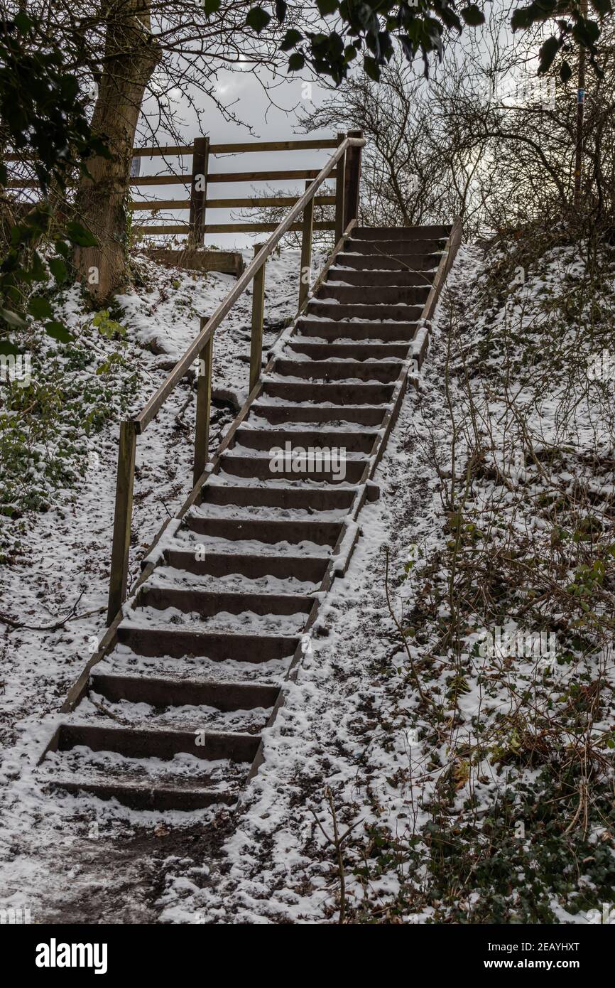 Conkers and Moira Furnace Museum and Ashby Canal in Winter plus ...