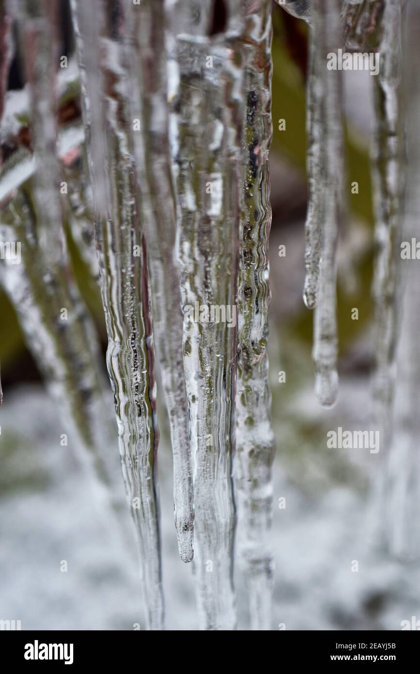 Leaf icicles hi-res stock photography and images - Alamy