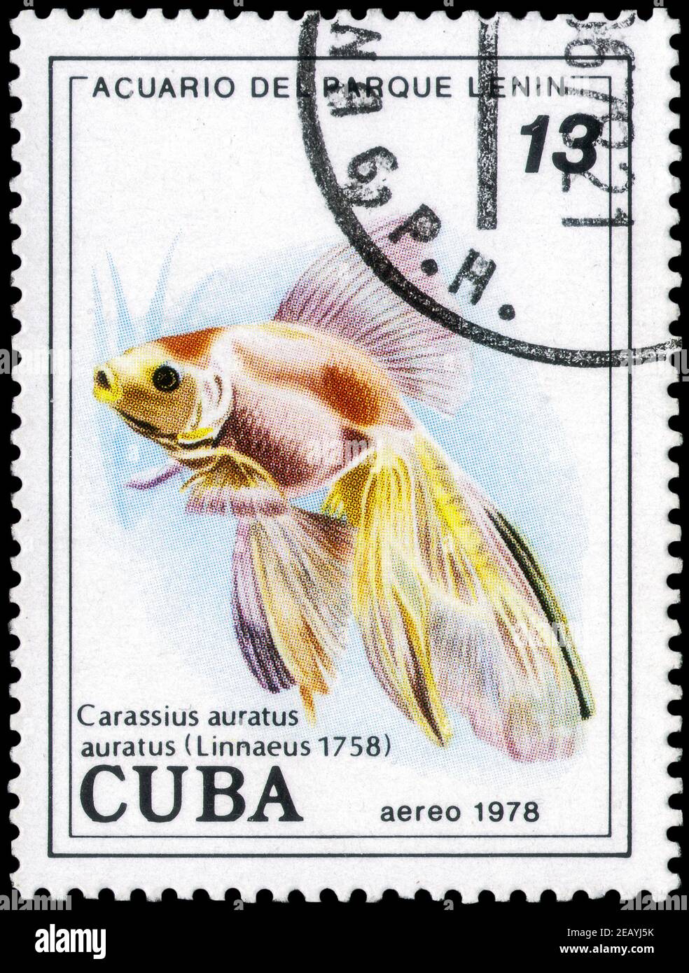 Goldfish stamp hi-res stock photography and images - Alamy