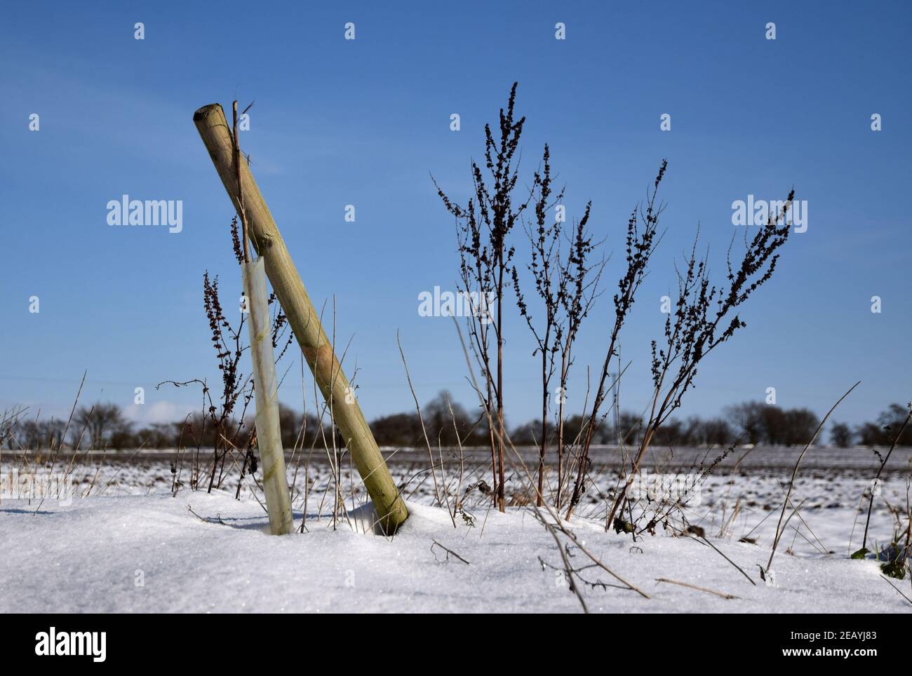 snowy landscape, suffolk, england, uk Stock Photo - Alamy