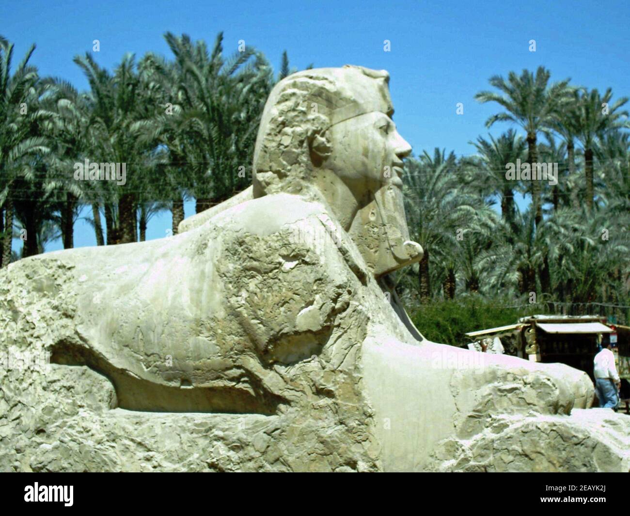 Memphis egypte hi-res stock photography and images - Alamy
