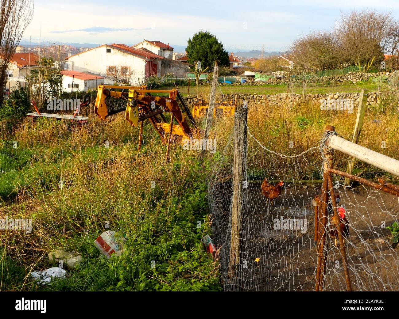 Rusty chicken wire hi-res stock photography and images - Alamy