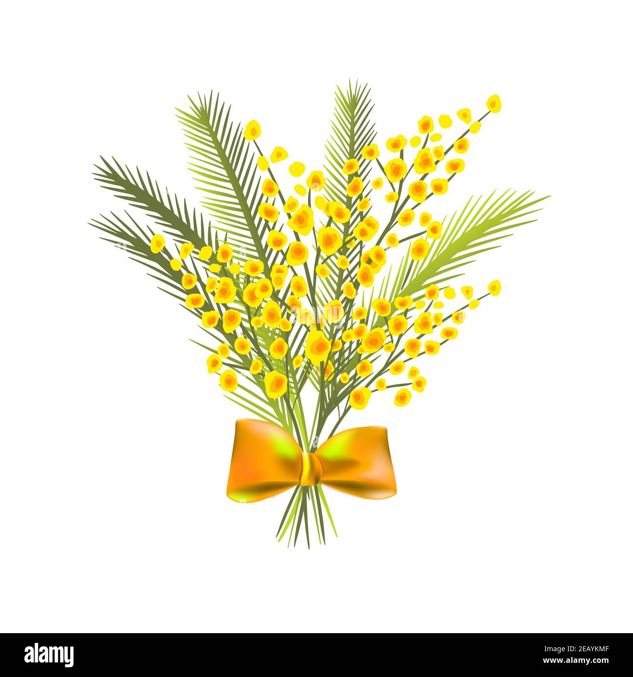 A bouquet of mimosas. Vector illustration Stock Vector Image & Art - Alamy