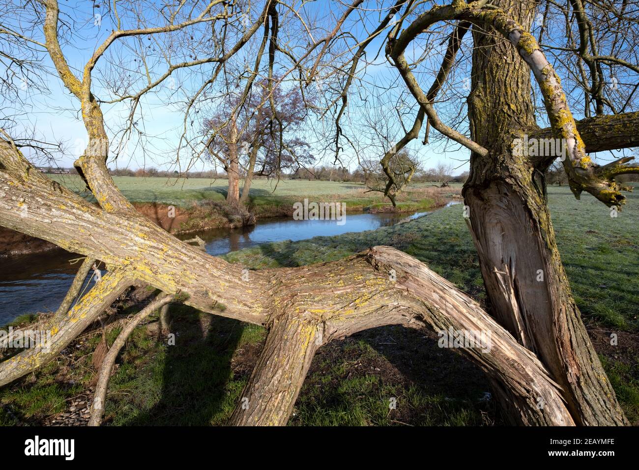Old broken arrow hi-res stock photography and images - Alamy