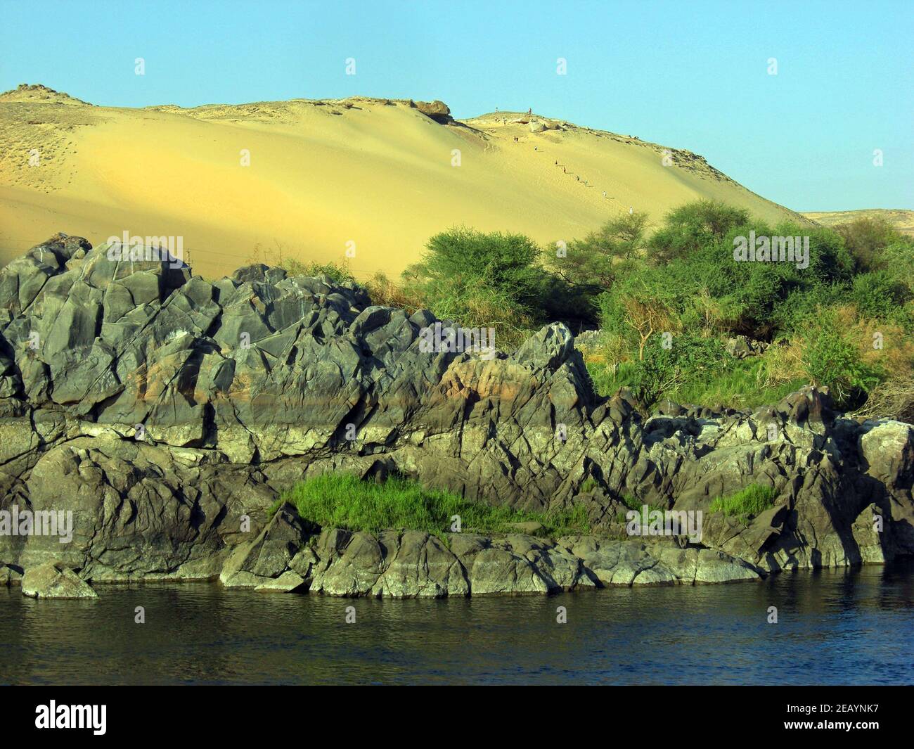 Lile elephantine hi-res stock photography and images - Alamy