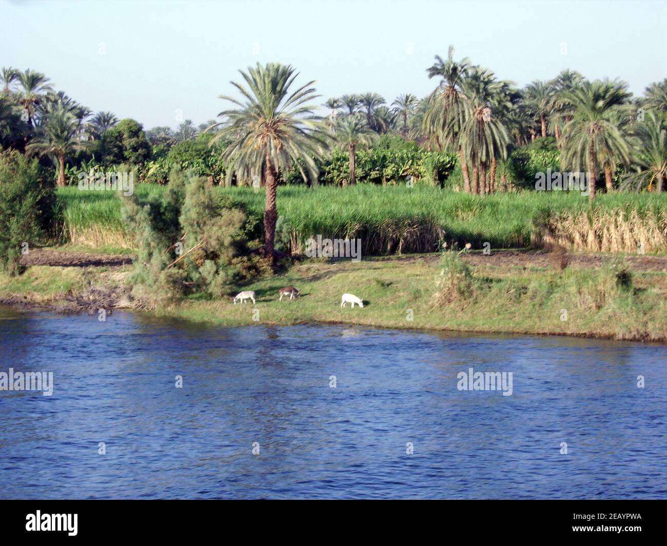 Le nil au caire hi-res stock photography and images - Alamy
