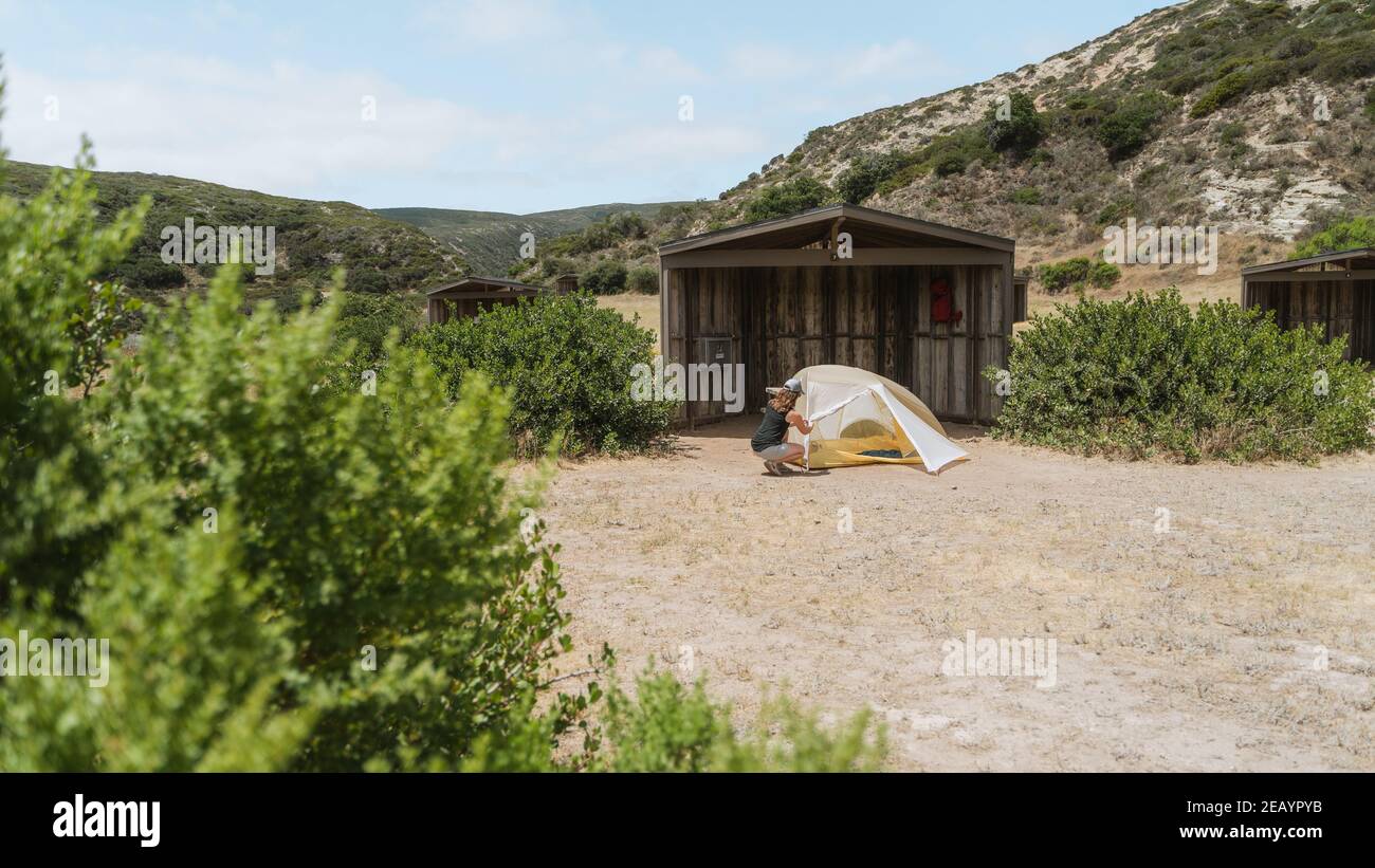CHANNEL ISLANDS NATIONAL PARK, UNITED STATES - Jun 15, 2020: Female ...