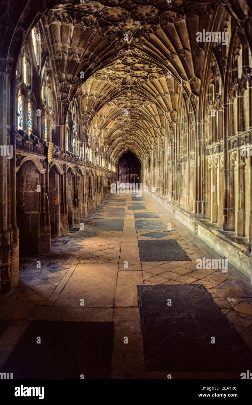 Gloucester Cathedral cloisters with fan vaullted ceiling 1986 Stock ...