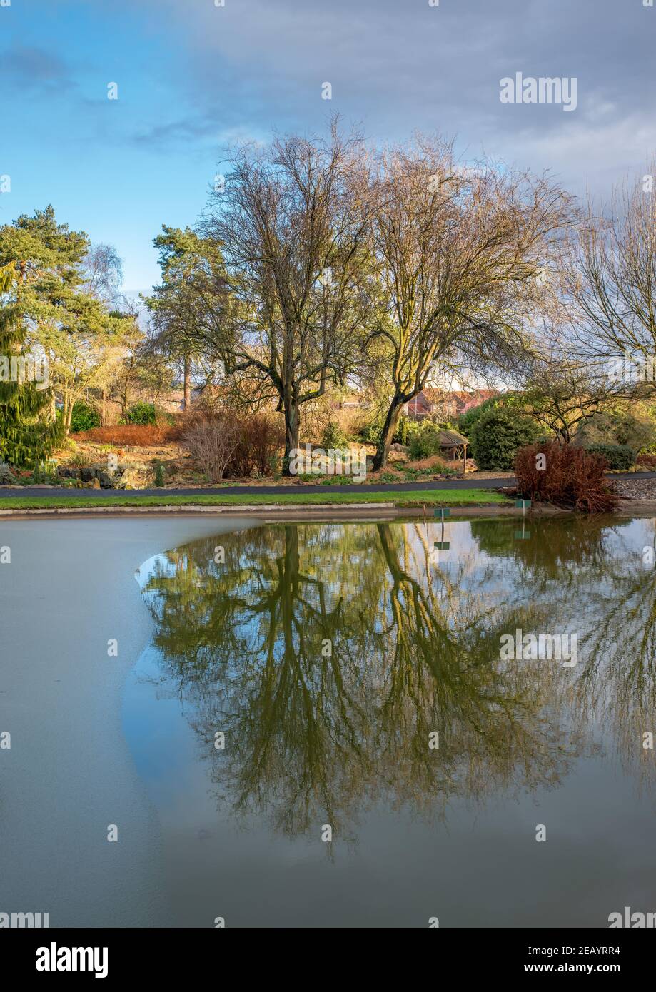 Pond surrounded by trees hi-res stock photography and images - Alamy