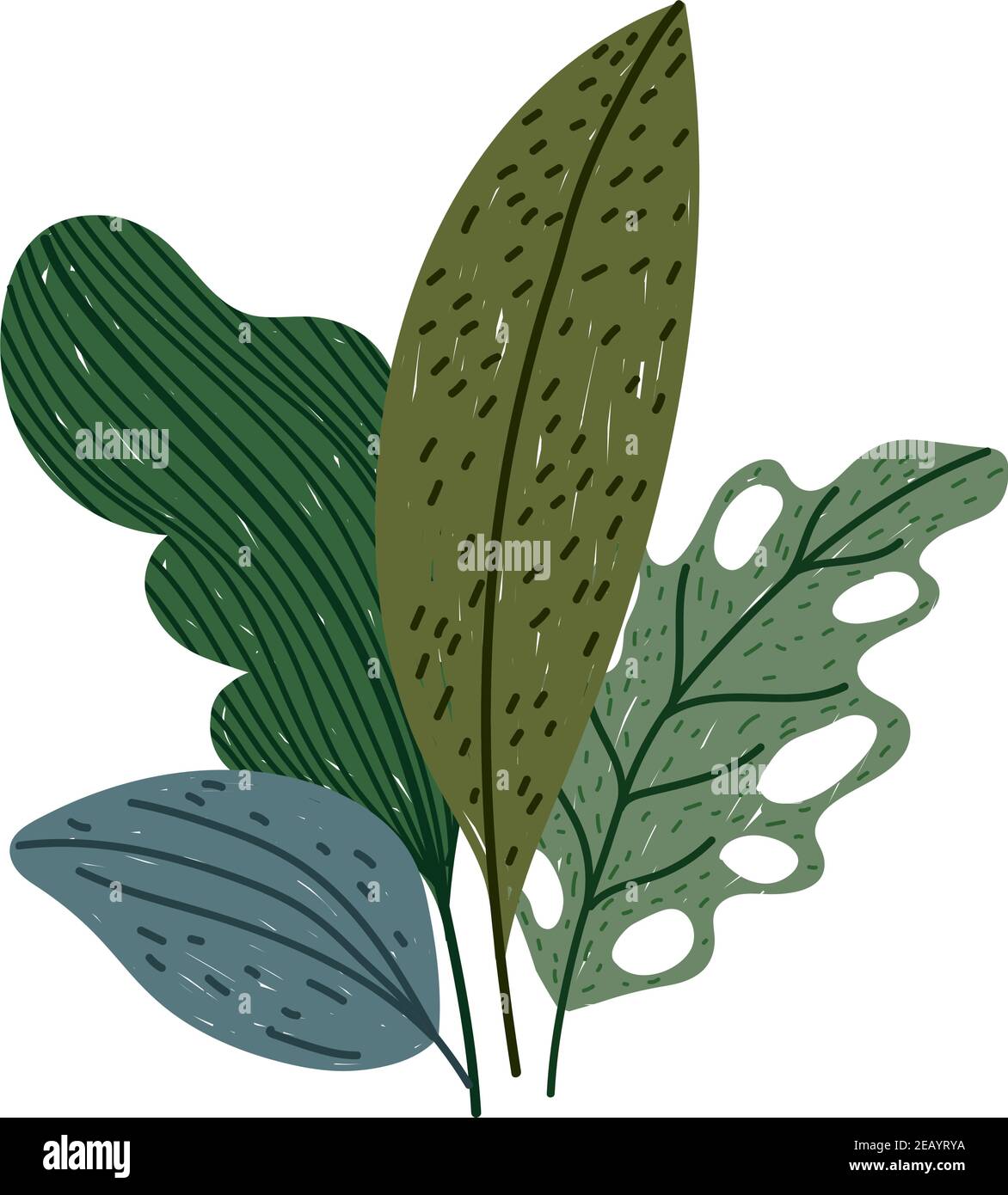 plants leaf foliage natural vegetation cartoon vector illustration ...
