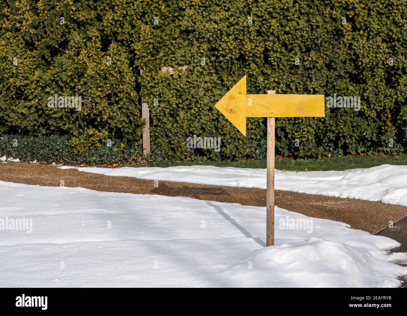 Yellow wooden arrow sign on post pointing left with green hedge ...