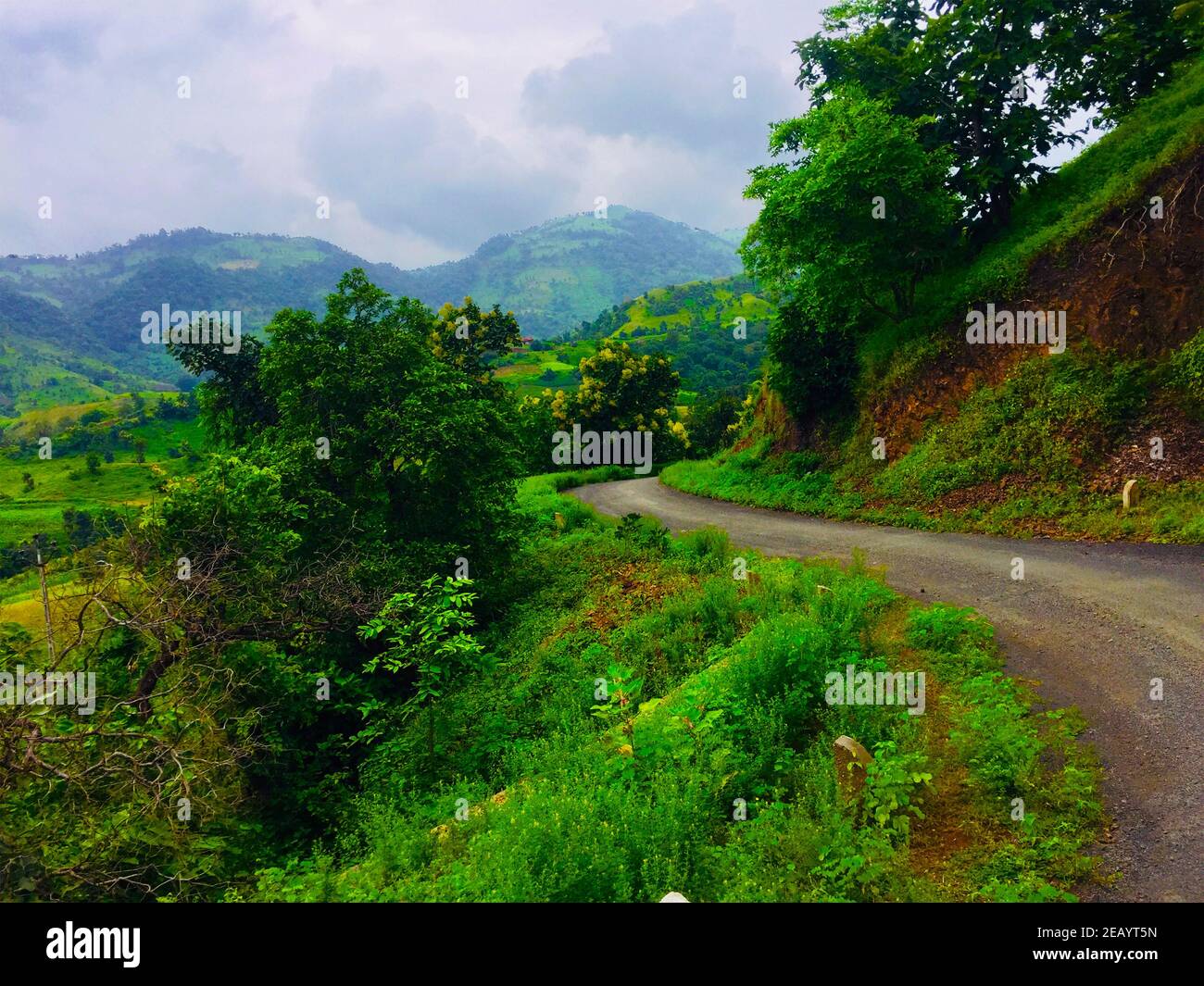 Mountain green valley path Stock Photo - Alamy