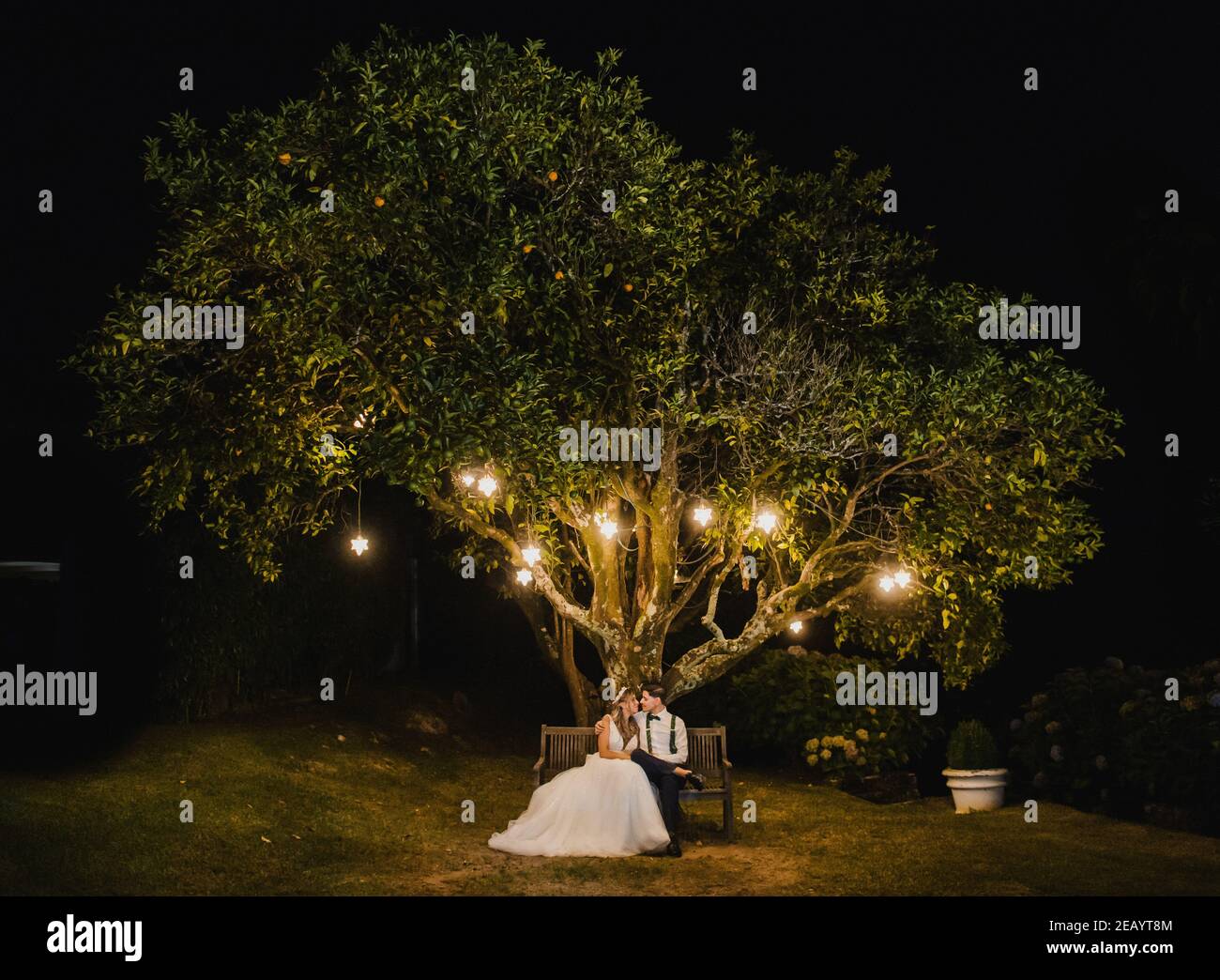Couple under a tree with pendant lights on their wedding day Stock ...