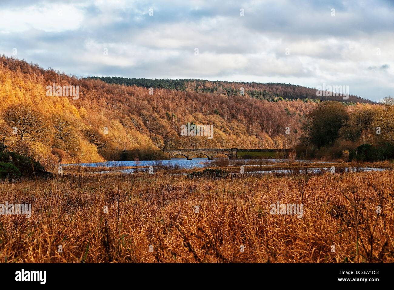 Yorkshire water company estate hi-res stock photography and images - Alamy