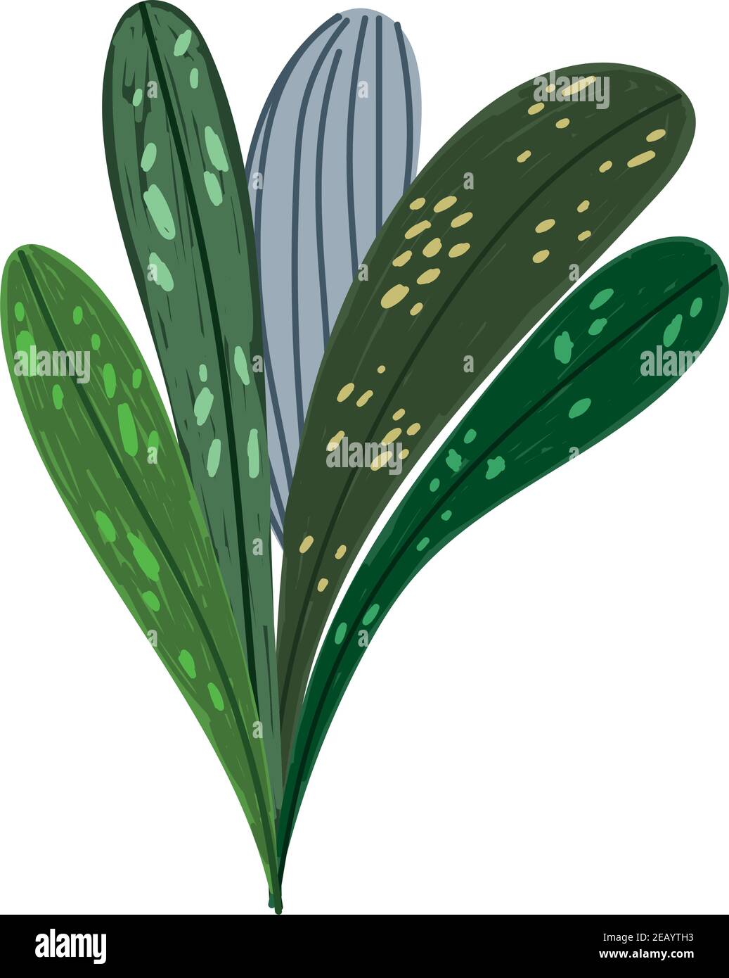 foliage nature greenery and vegetation cartoon vector illustration ...