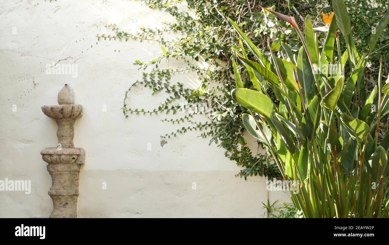 Mediterranean rustic building, empty side street. Green garden with ...