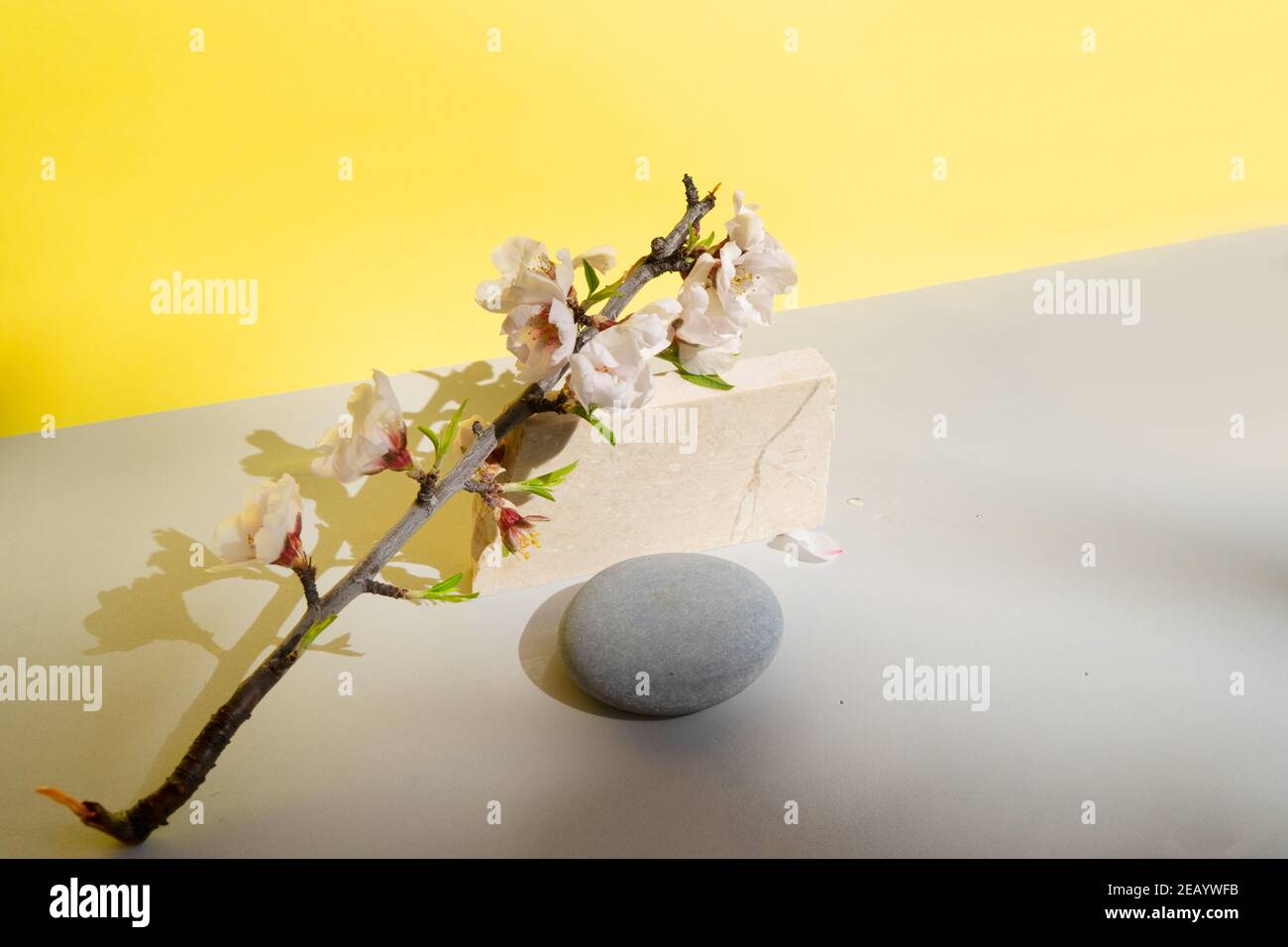 Minimal product display Stock Photo - Alamy