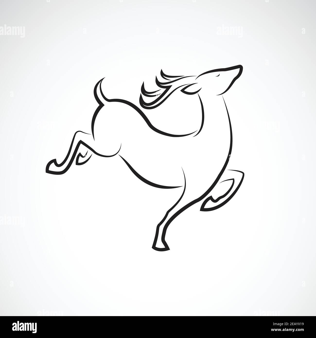 Vector of deer design on white background. Wild Animals. Easy editable ...