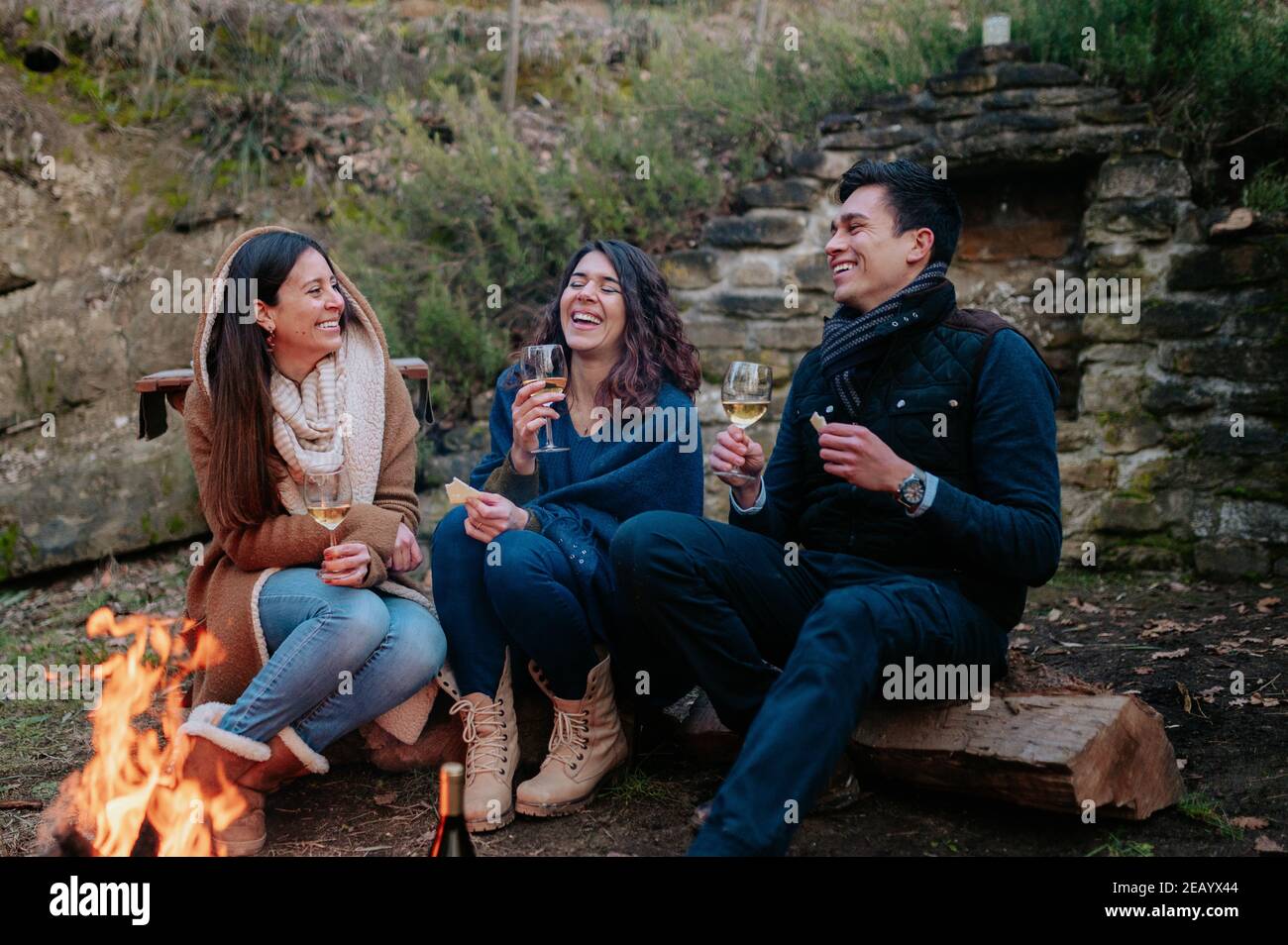 Group of friends sitting in front of a bonfire drinking glass of wine ...