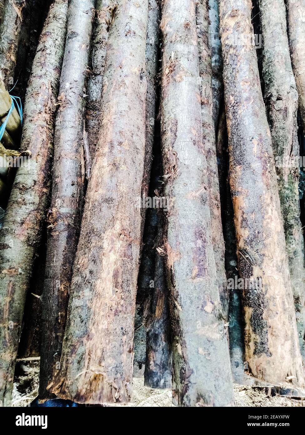 Vertical shot exterior log hi-res stock photography and images - Alamy