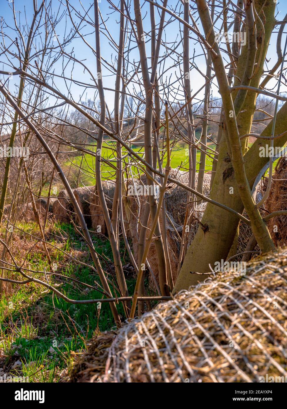 Crop row edge hi-res stock photography and images - Alamy
