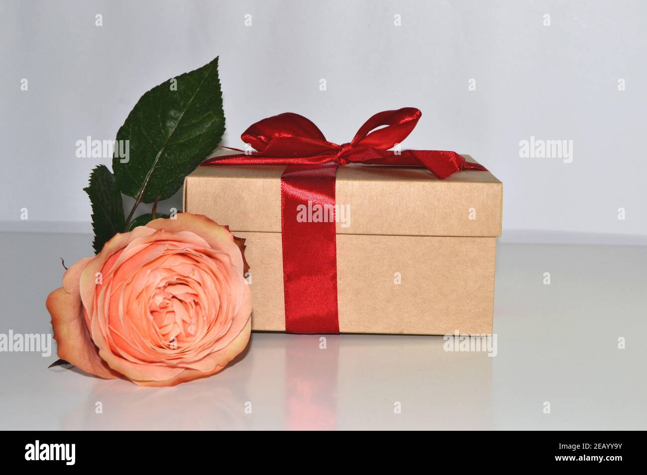 gift box with red ribbon and pink rose isolated on white background ...