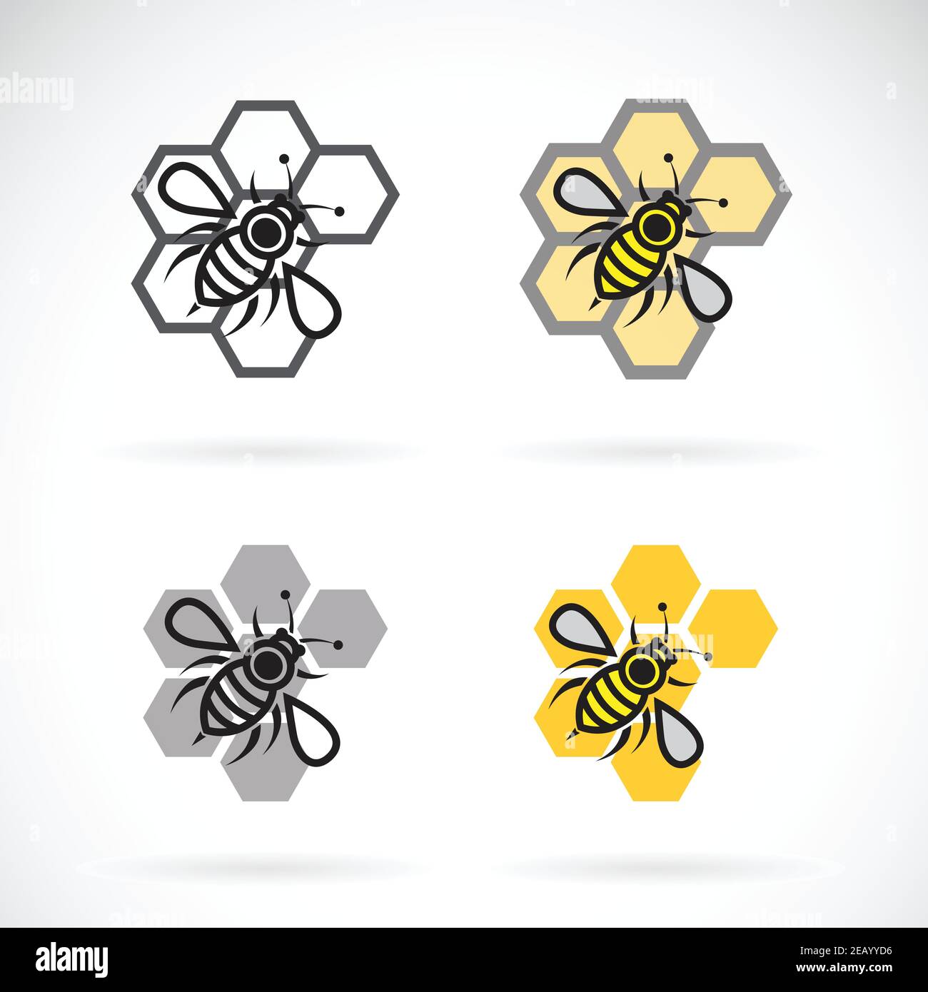 Vector of bee and honeycomb design on white background. Insect. Animals ...