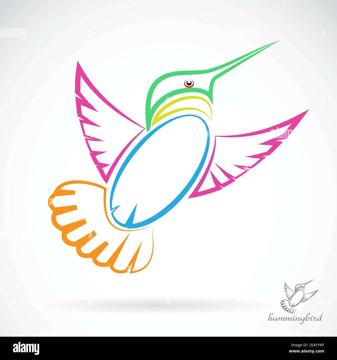 Vector of a hummingbird. Easy editable layered vector illustration ...