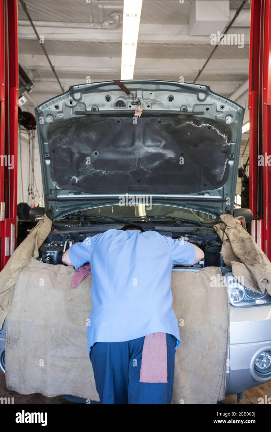Torso of a mechanic leaning into the engine compartment in an auto ...