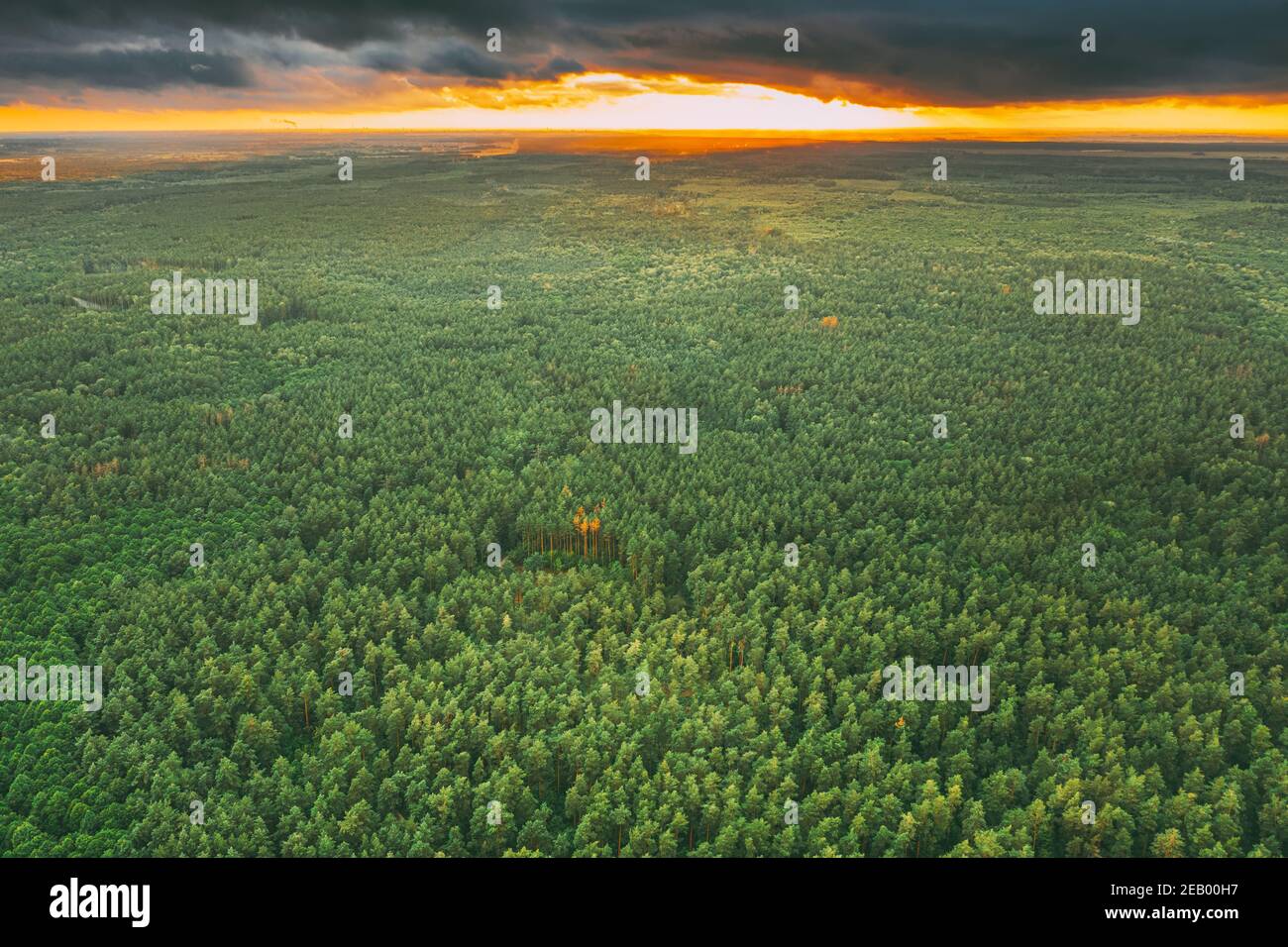 Aerial View Of Dramatic Sky Above Green Forest Landscape In Evening ...