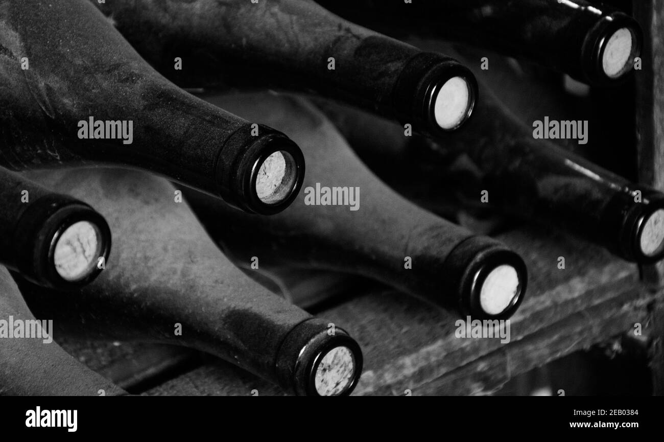 Dusty wine bottles on wooden shelf in cellar. Old vintage quality aging ...