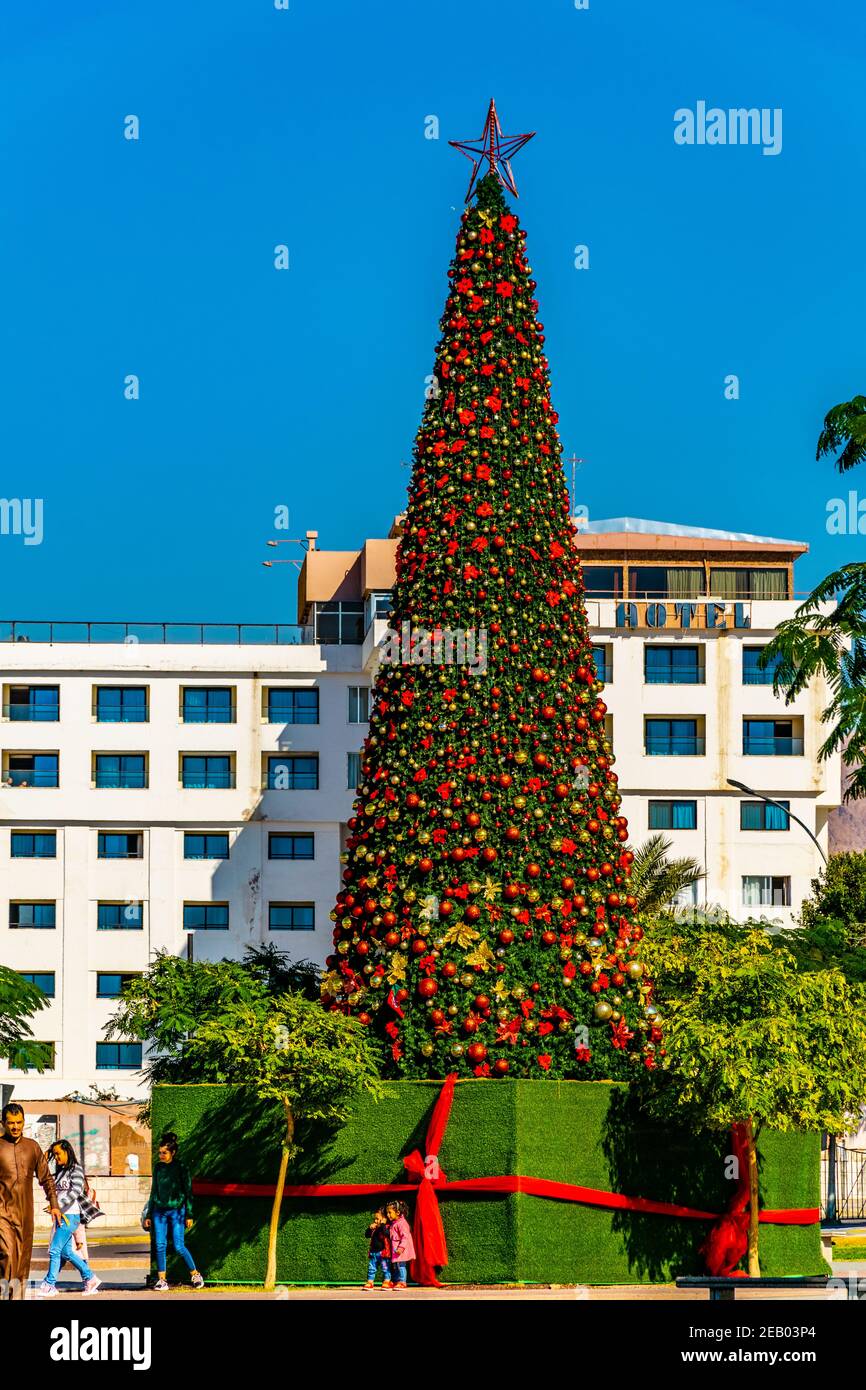 Palm tree in traffic circle hi-res stock photography and images - Alamy