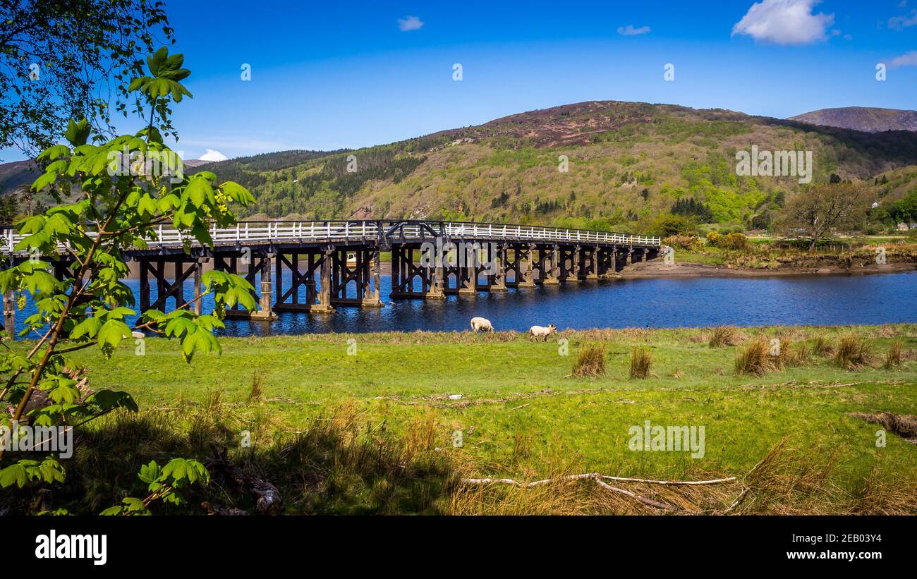 The old wooden toll bridge at Penmaenpool near Barmouth in Snowdonia ...