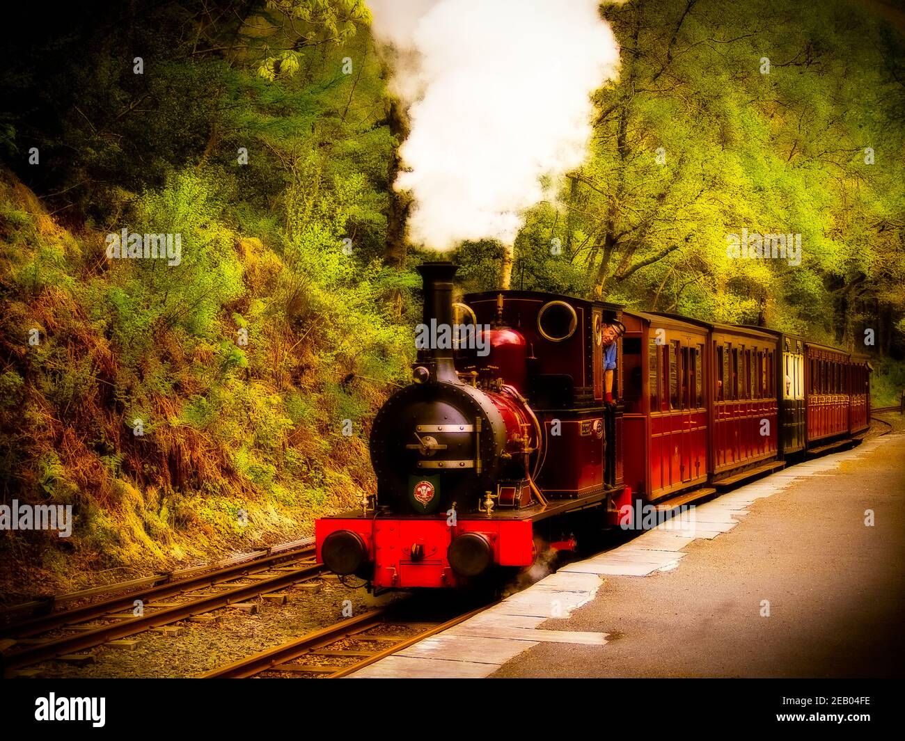 Steam locomotive no 2 Dolgoch on the Talyllyn railway arriving at ...