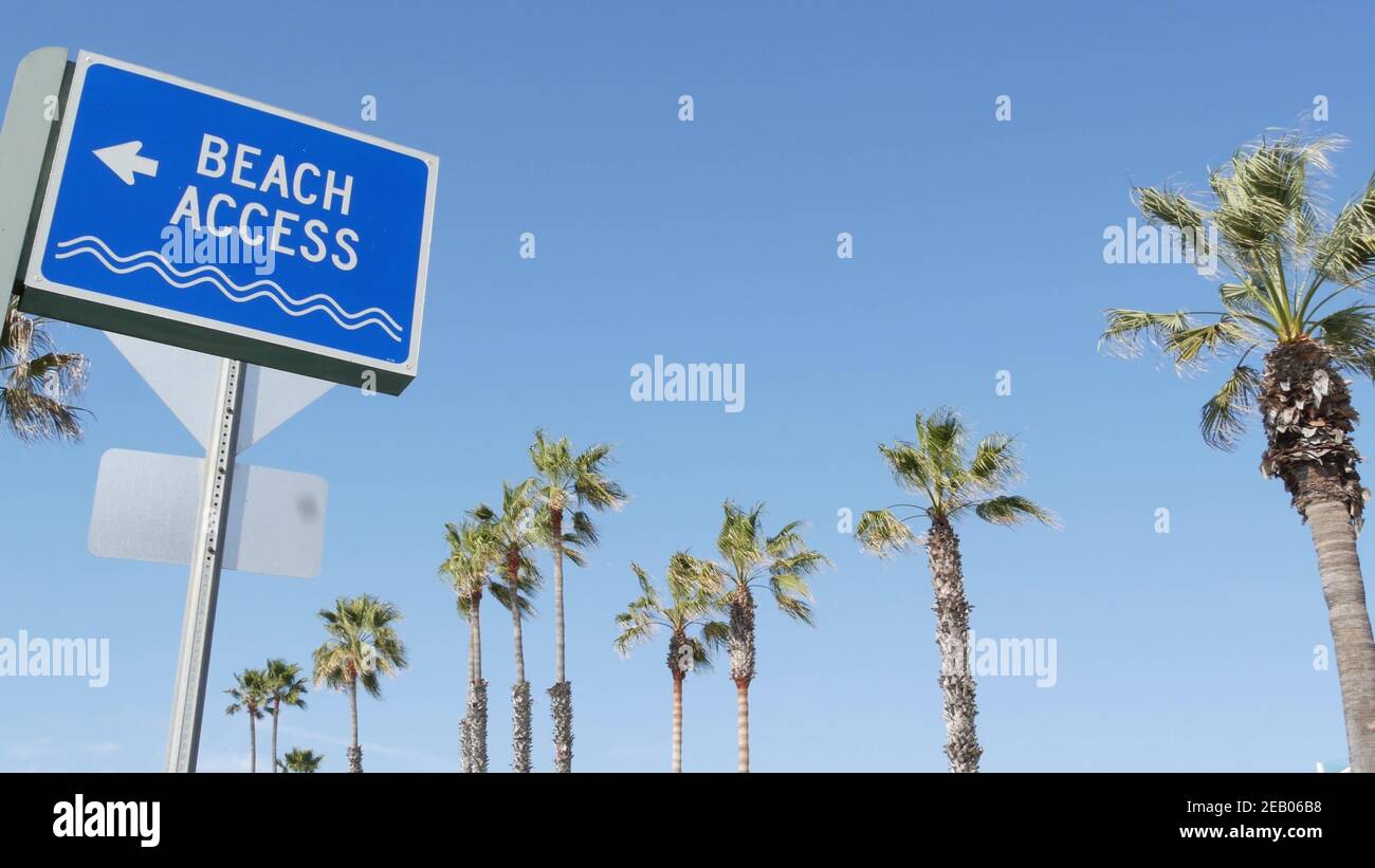 Beach sign and palms in sunny California, USA. Palm trees and seaside ...