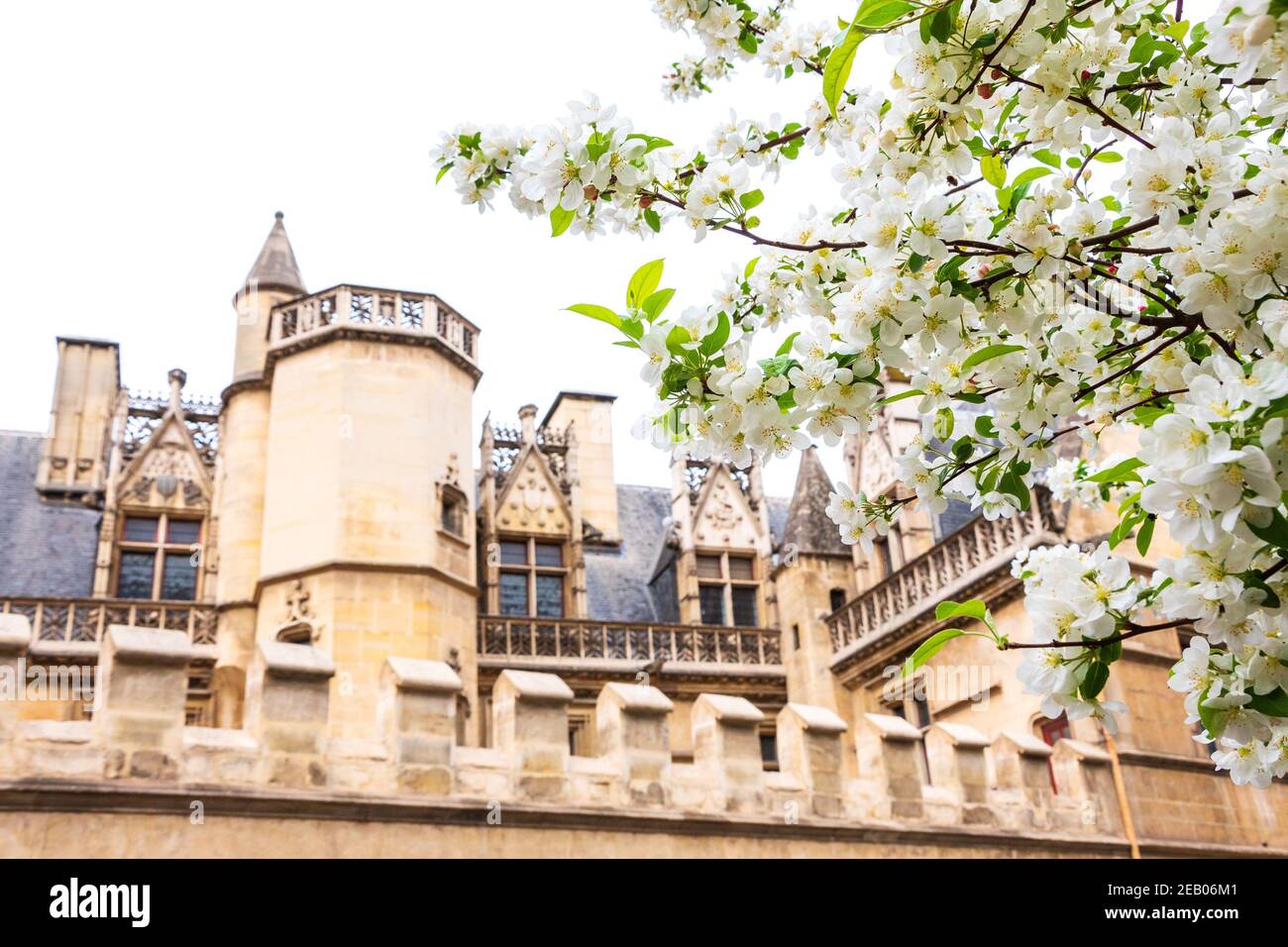 Abbey of cluny. cathedral hi-res stock photography and images - Alamy