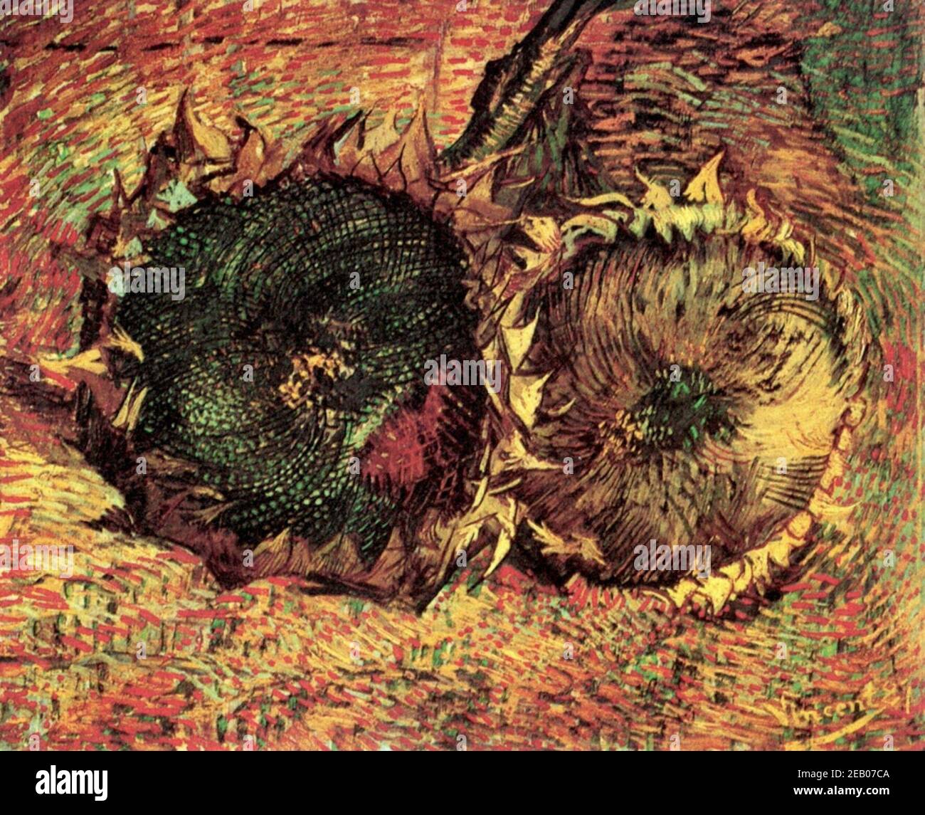 Still Life With Two Sunflowers High Resolution Stock Photography and ...