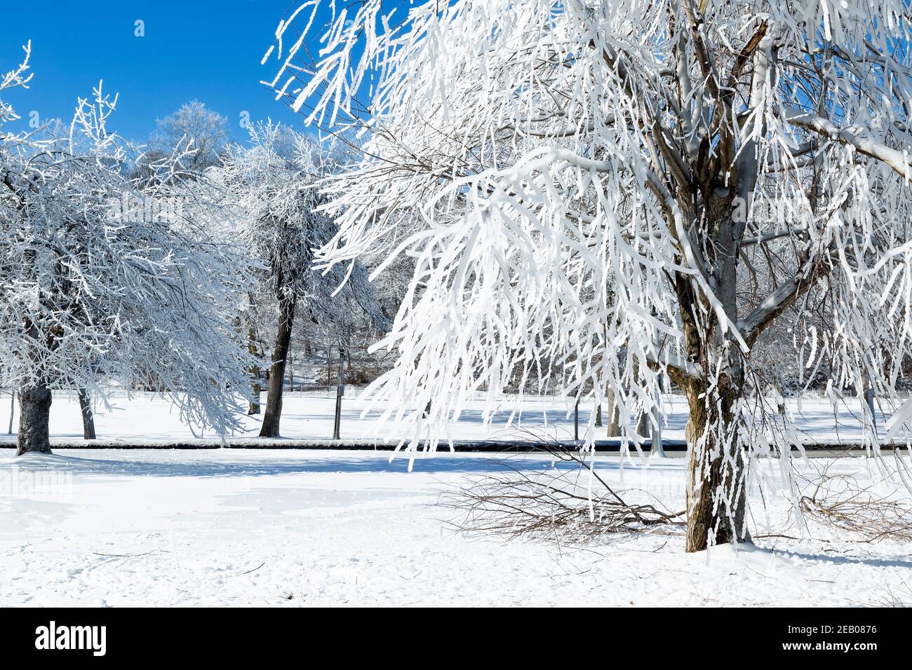 Ice covered trees Niagara Falls. Niagara Falls Ontario Canada Stock ...