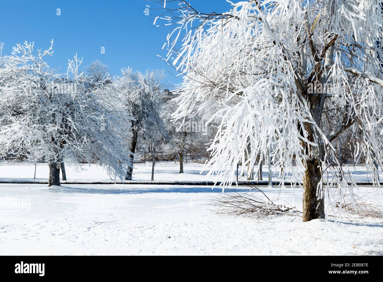 Ice covered trees Niagara Falls. Niagara Falls Ontario Canada Stock ...