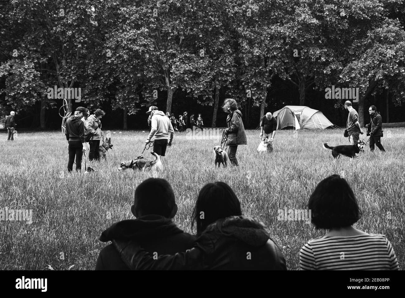 Dog obedience class Black and White Stock Photos & Images - Alamy